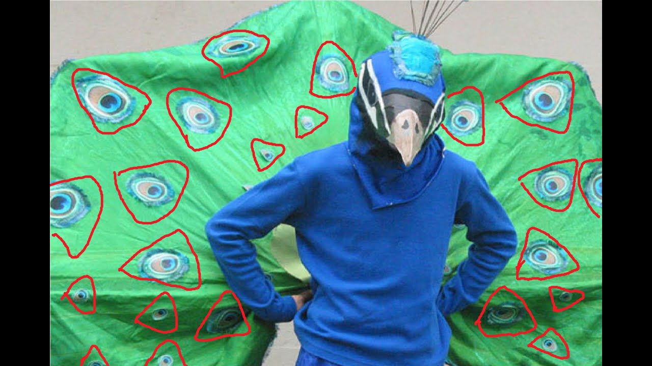 Destiny Live Stream: Peacock Men are in the Illuminati! {10} - YouTube