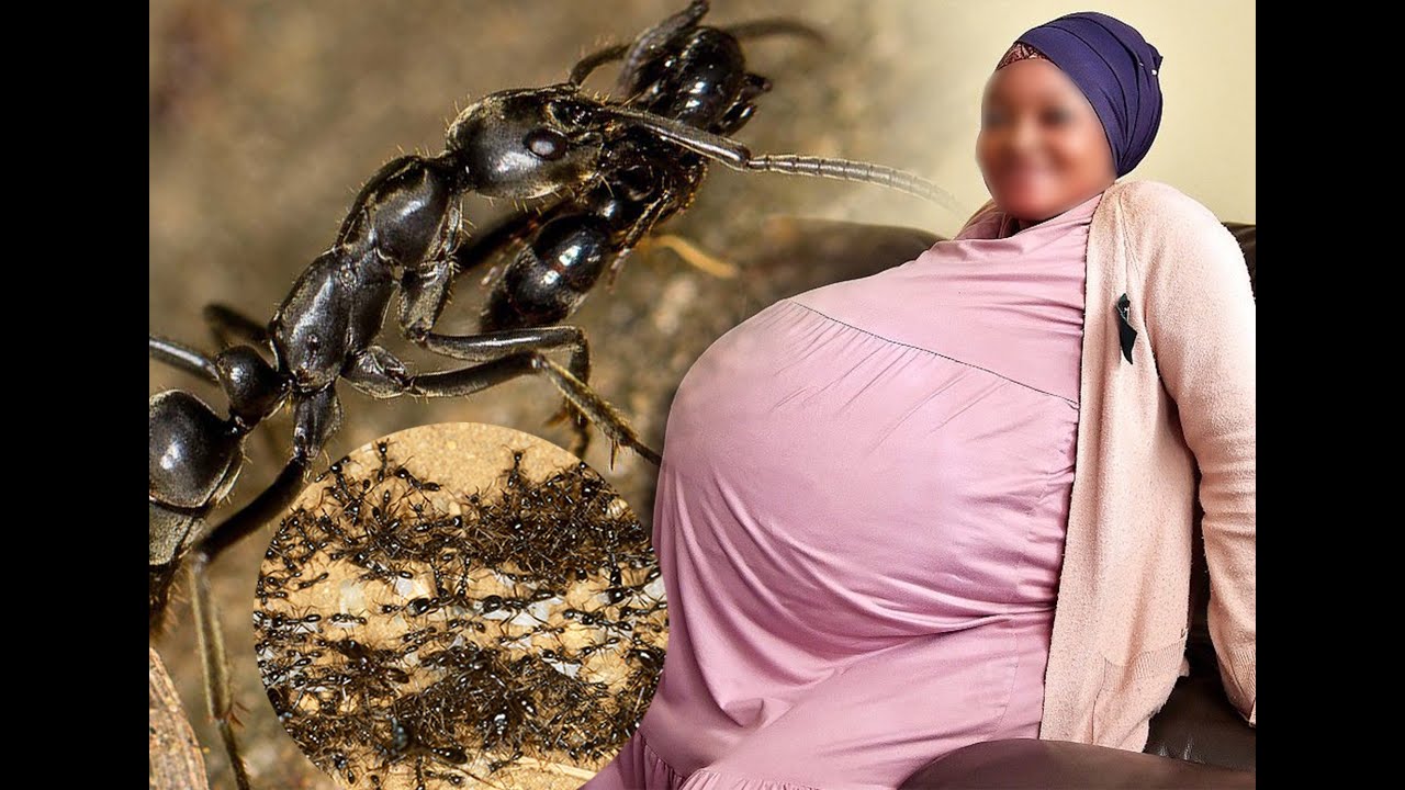 WoNDERS THEY SAYS, IT NEVER END - YouTube