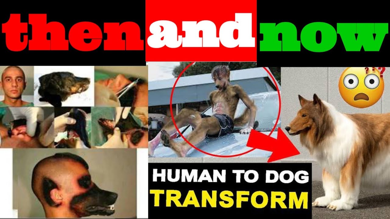 Man turns into a dog toko dog reality - YouTube