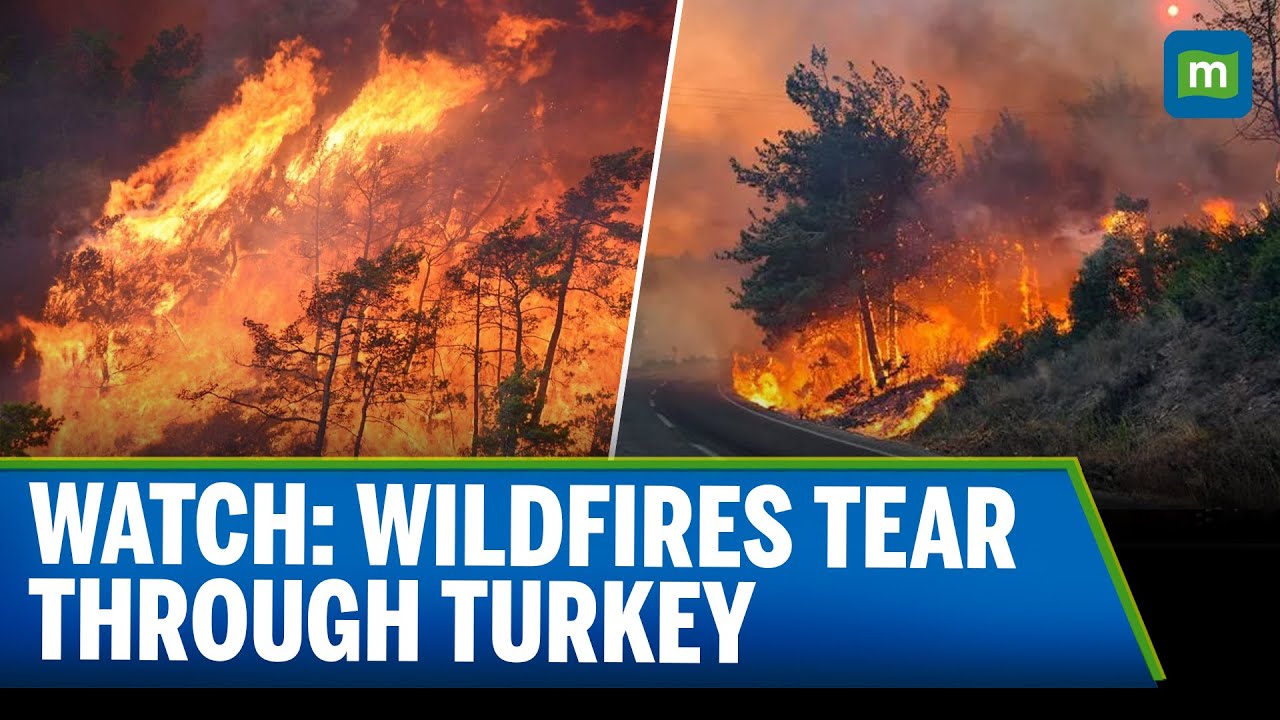 Turkey Battles Wildfires in Izmir Province | 1,000+ Firefighters ...