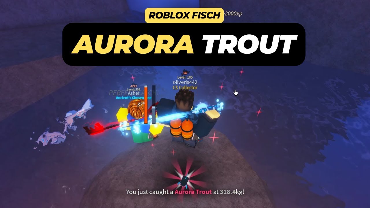 How to Get Aurora Trout Fish in Roblox Fisch - YouTube