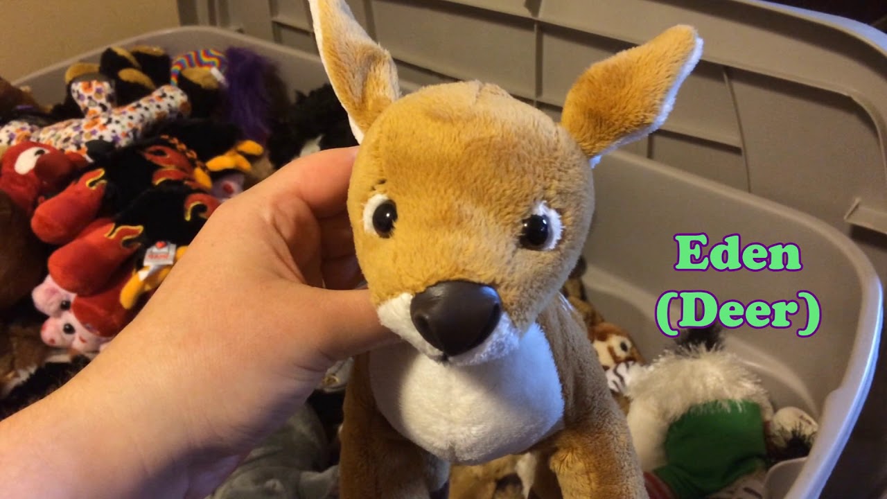 WebkinzFan91 Webkinz Collection [2018] - YouTube