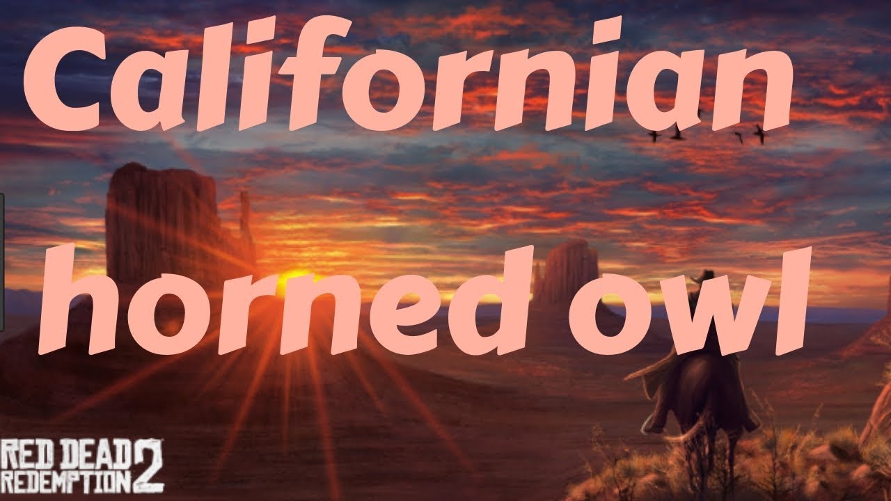 Red Dead Redemption 2 Californian horned owl - YouTube