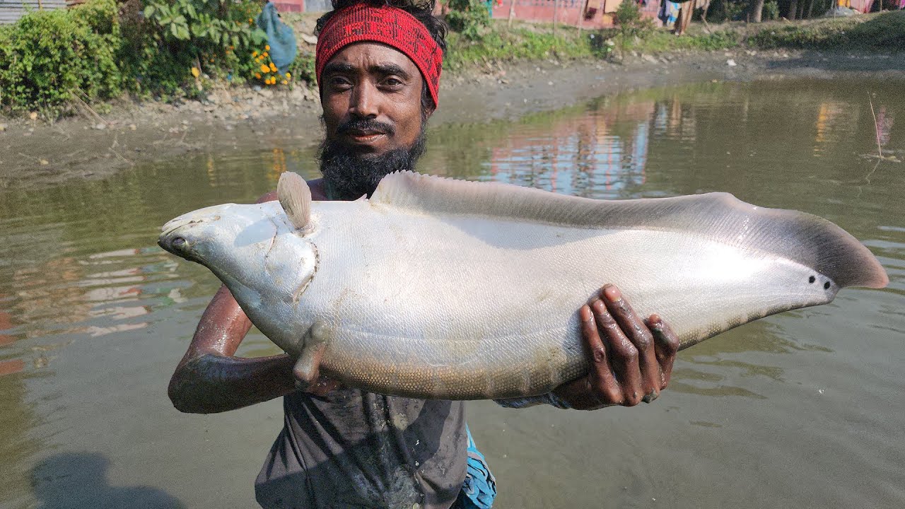 Big chital and katla fish catching - YouTube
