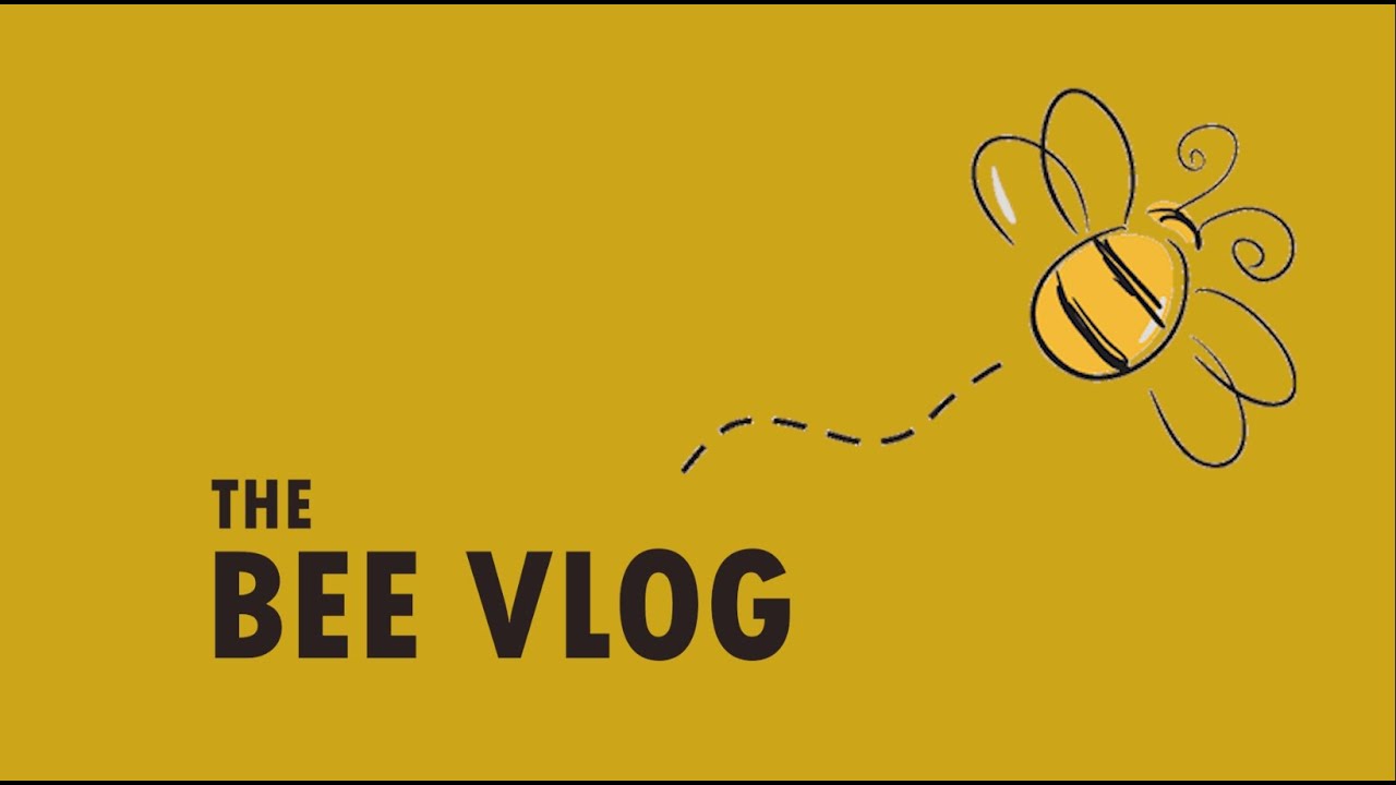BUYOG: Stingless Bee Hunting - YouTube
