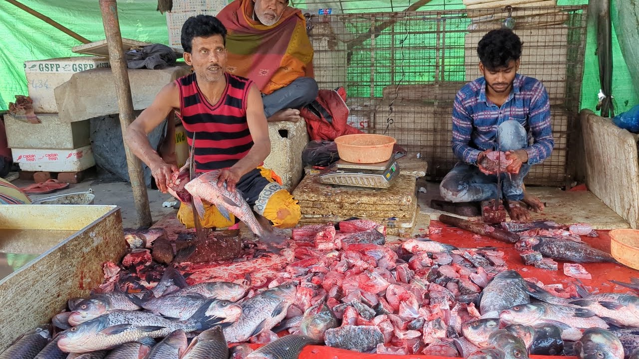 Watch The 200 kg Fish Being Cut And Pulverized At Lightning S - YouTube