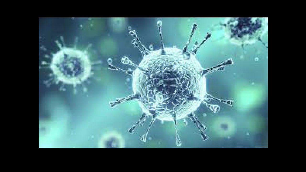 Archive SCP-016-Micro-Organisme Conscient - YouTube