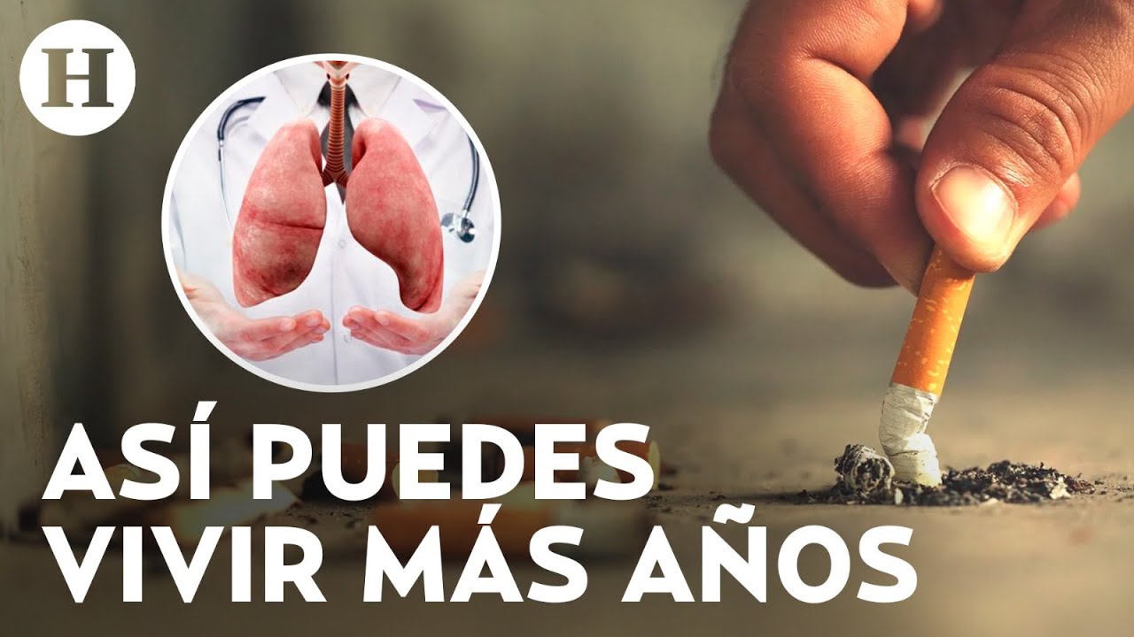 ¿Cómo se ven los pulmones de un fumador? Fumar reduce 10 años la ...
