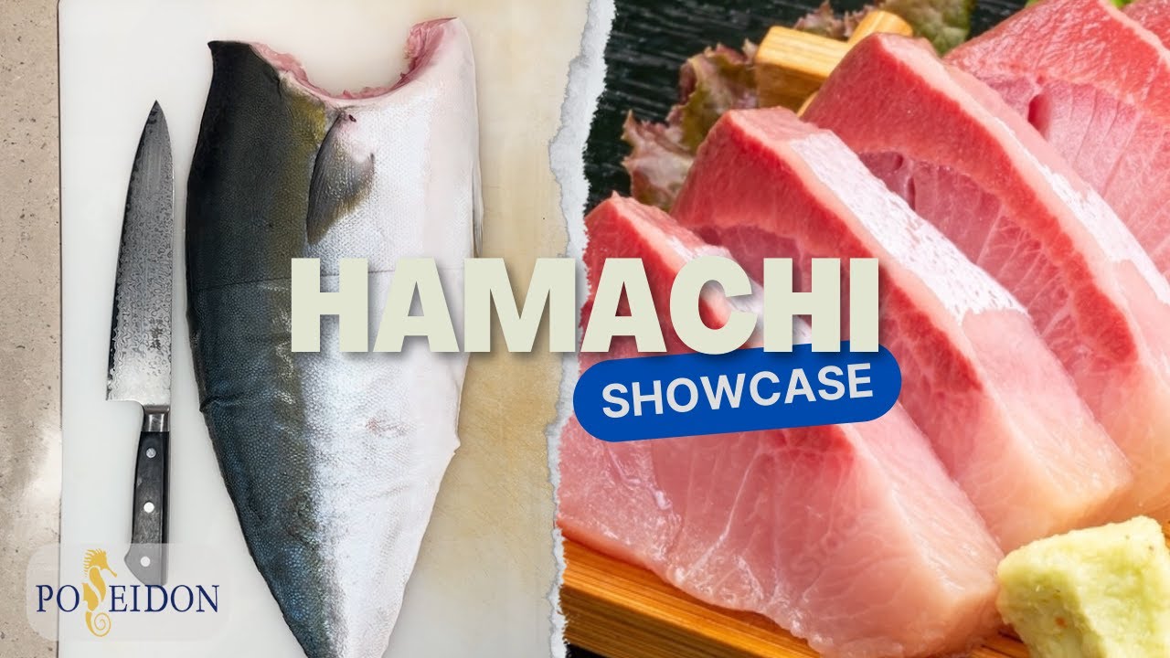 Yellowtail Hamachi Seafood Showcase! PSD Group - YouTube