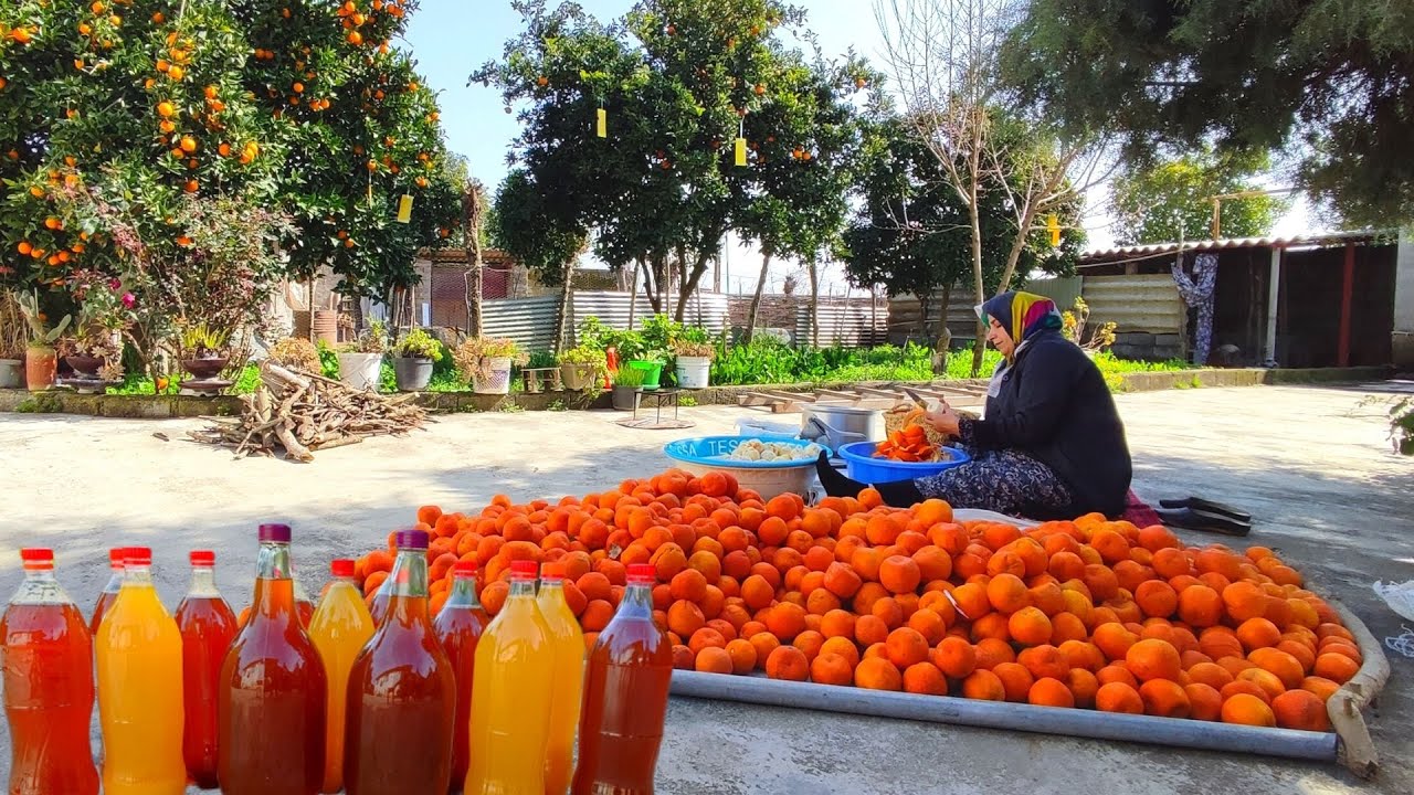 IRAN ♧ 100kg Sour orange! Picking and preparing natural sour orange ...