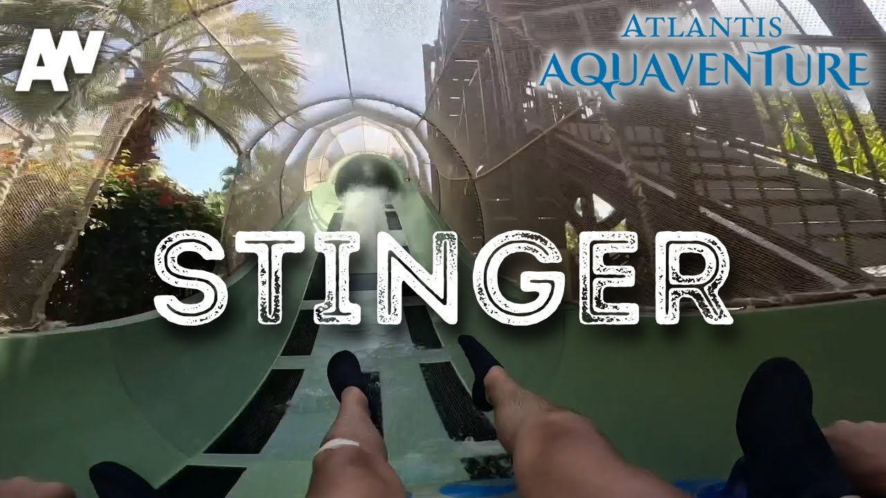 Stinger Water Slide - Atlantis Aquaventure Waterpark Dubai - YouTube