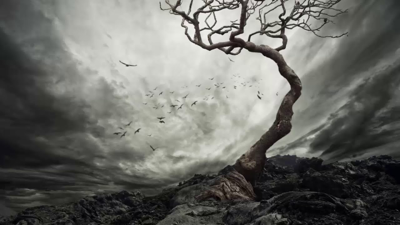 THE ASHEN TREE - Memories in Monochrome (2018) (HQ) - YouTube