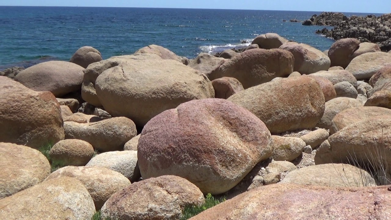 FINOCCHIO DI MARE O FINOCCHIO MARINO-CRITHMUM MARITIMUM. - YouTube