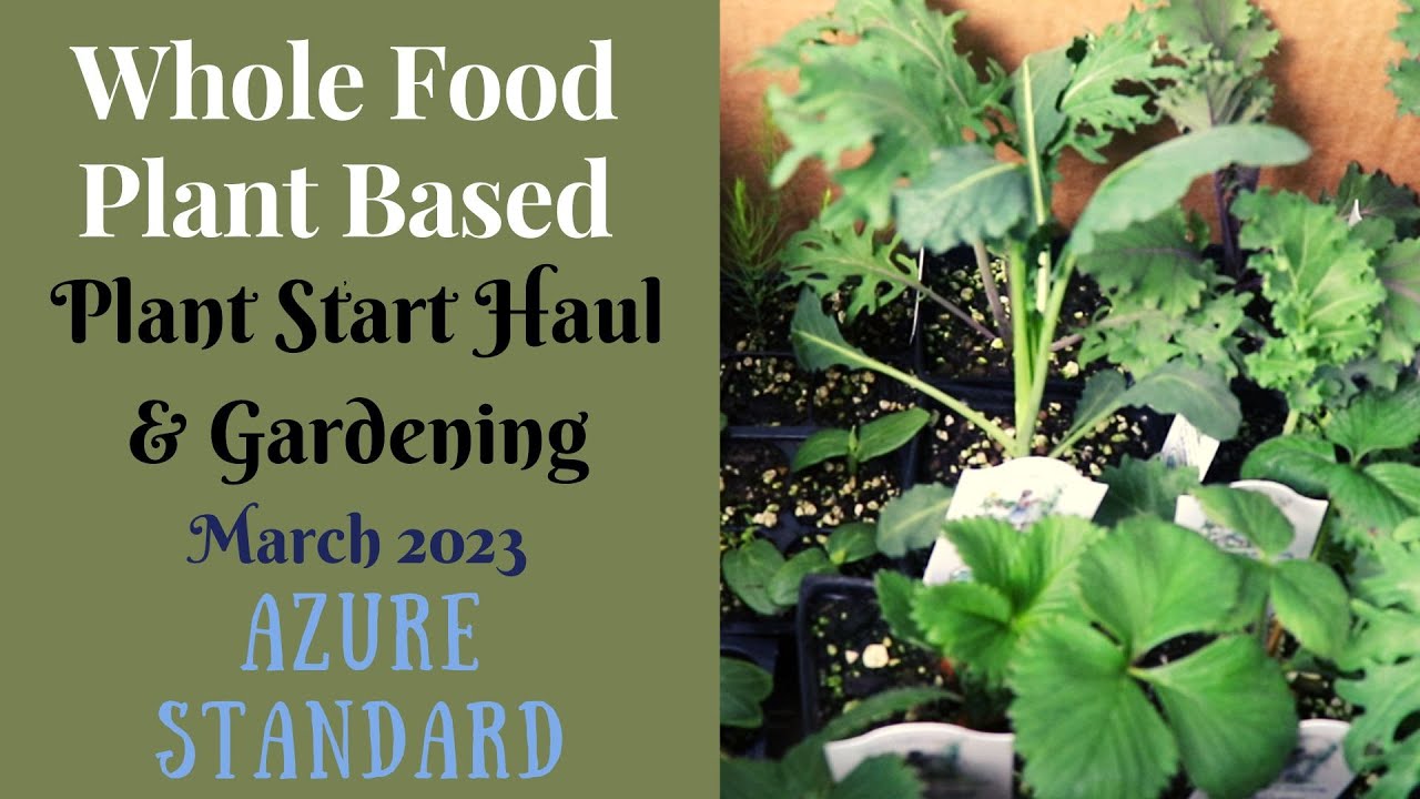 Azure Standard Spring Plant Start Haul, and Gardening With Me - YouTube