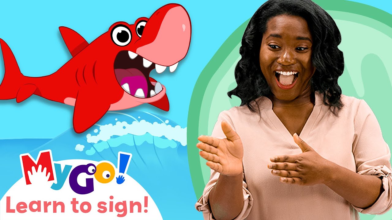 Baby Shark | Learn Sign Language with Morphle! | MyGo! | ASL for Kids ...