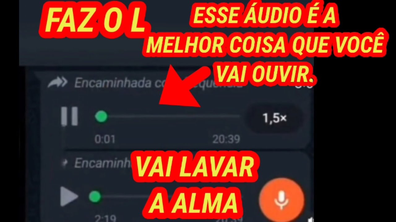 FEZ O L VOCÊ PRECISA OUVIR ESSE ÁUDIO #fazol #fazueli #fazuele # ...