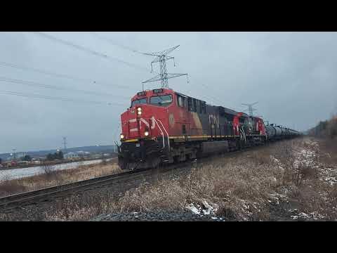 MASSIVE! CN A435 - 3813W at Mansewood - January 3, 2024 - YouTube