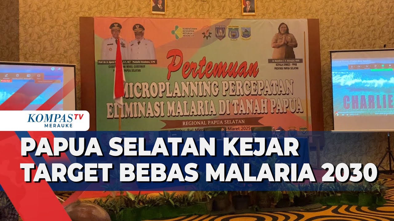 Papua Selatan Kejar Target Bebas Malaria 2030 - YouTube