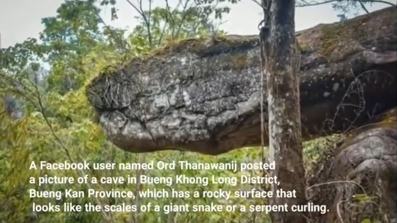 Giant Stone snake at Thailand - YouTube