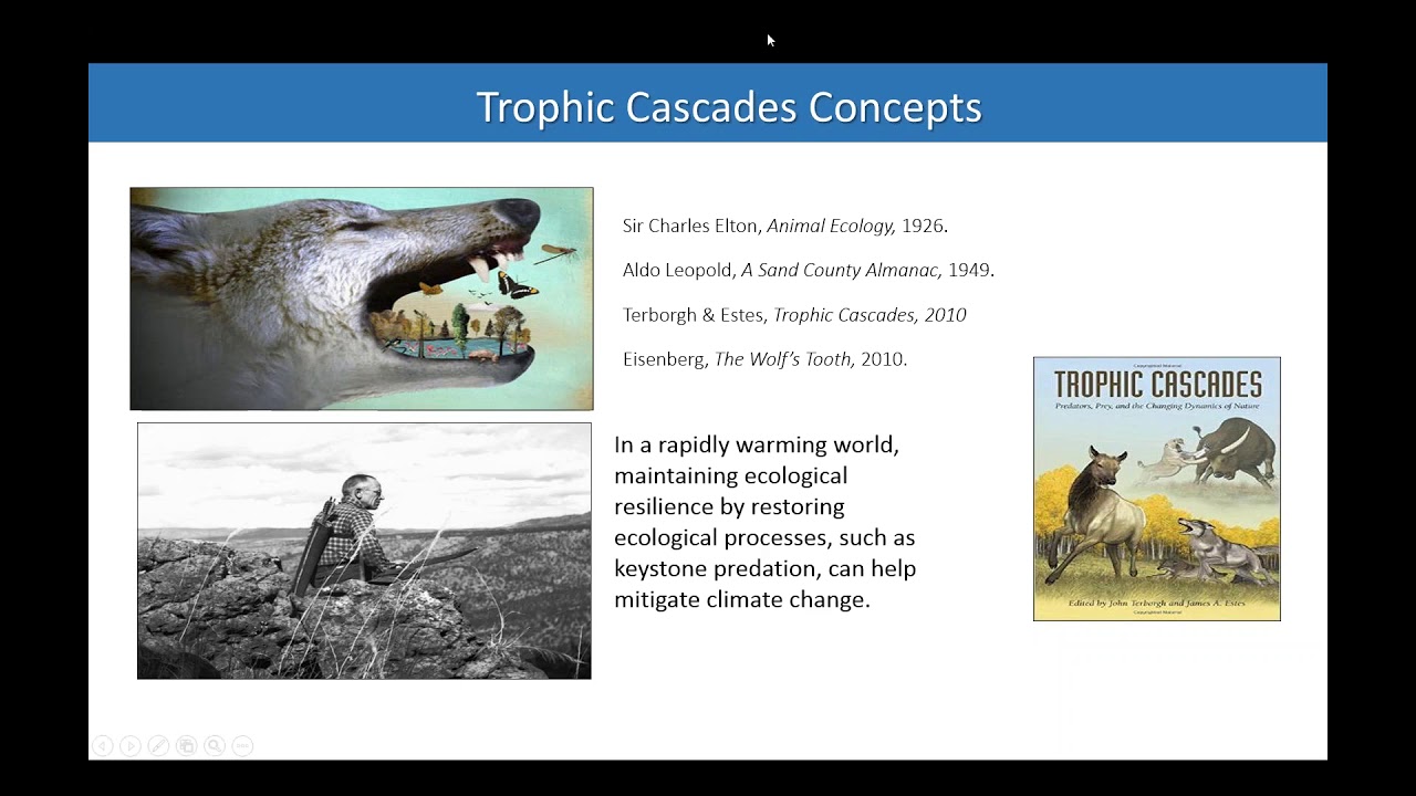 Using Apex Predators & Trophic Cascades Mechanisms to Create Resilient Wetlands in a Warming ...