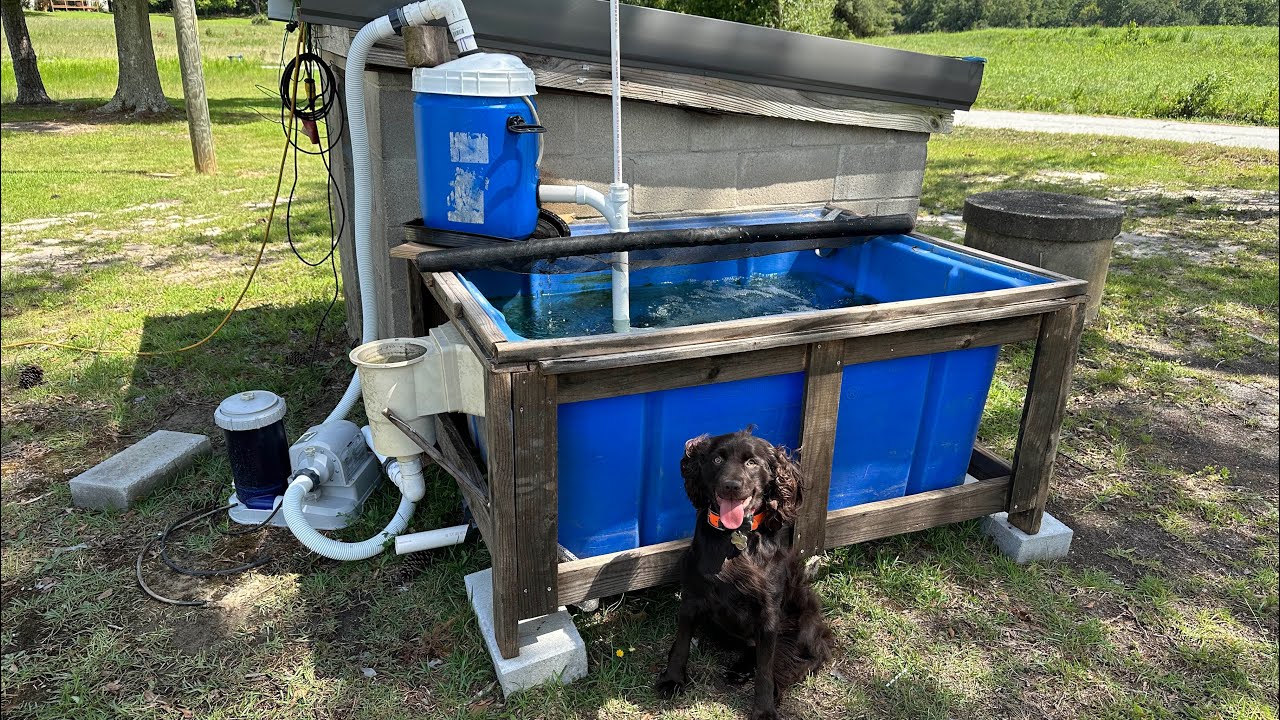 New DIY Bait Tank For Perch - YouTube