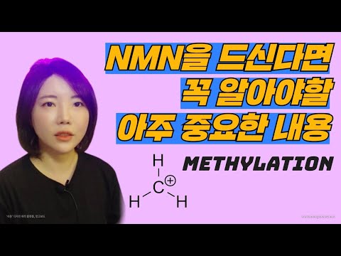 NMN NR을 드신다면 꼭 알아야할 아주 중요한 내용 메틸화 - YouTube