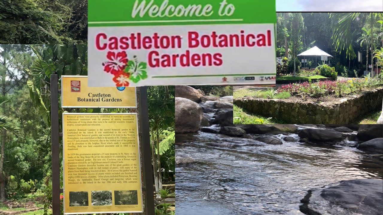 Castleton Gardens River jamaica - YouTube