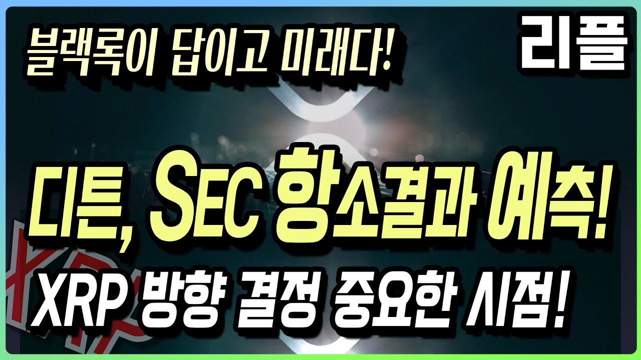 리플 Xrp 가장 중요한 시점 블랙록이 답이고 미래다 존 디튼 Sec 중간 항소 결과 예측 리플 리플전망 리플코인