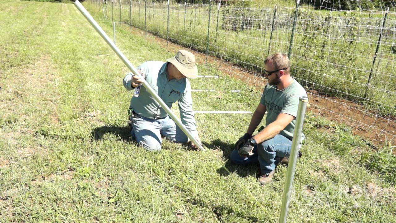 3 Driving posts to the line - YouTube