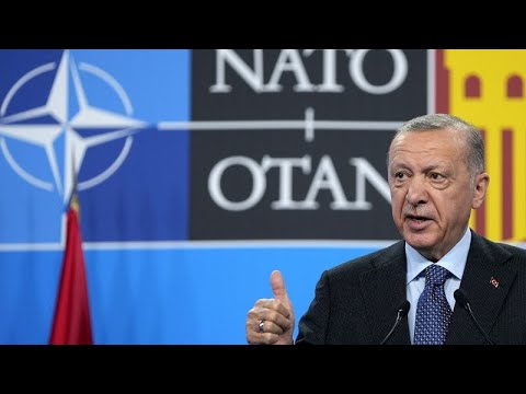 NATO: Turkey says talks over Sweden and Finland's membership to resume on 9 March