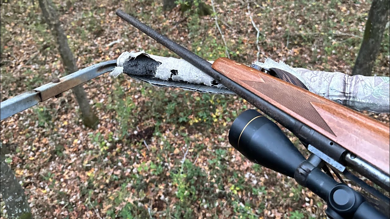 Taylor’s Pride Homestead goes Deer Hunting for first time of the season ...