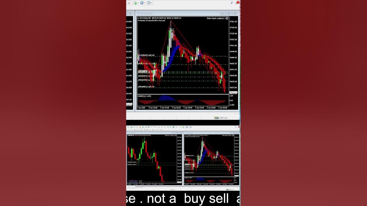 GOLD LIVE BASE ON PRICE ACTION APOLO SCALPING EA - YouTube