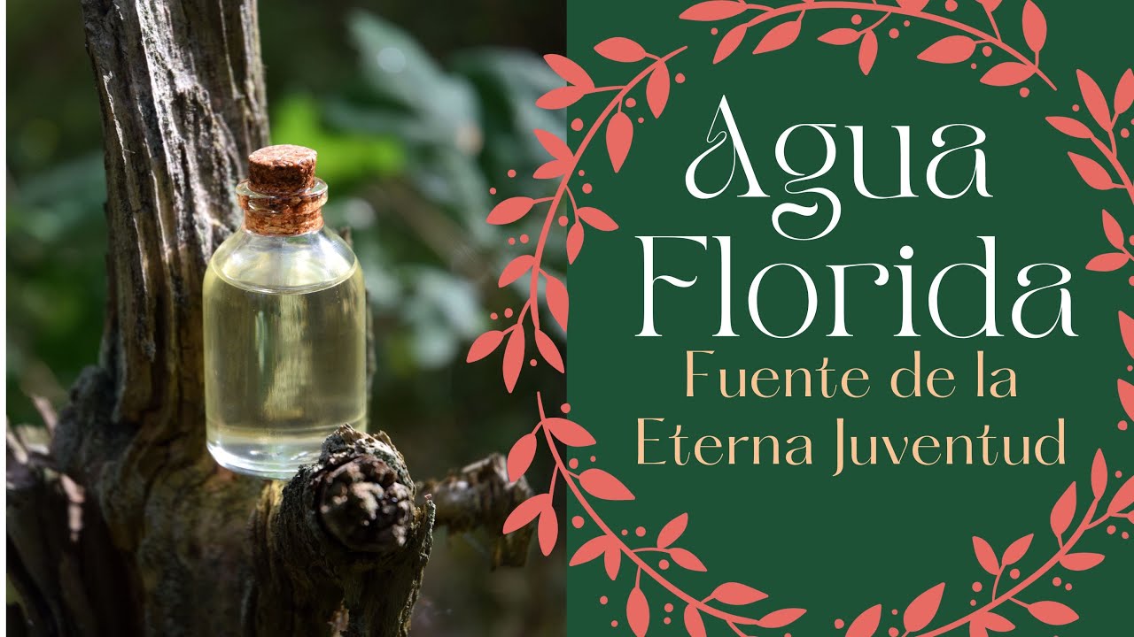 💫Cómo hacer AGUA FLORIDA🌷: Perfume MEDICINAL y MÁGICO || Cosmética ...