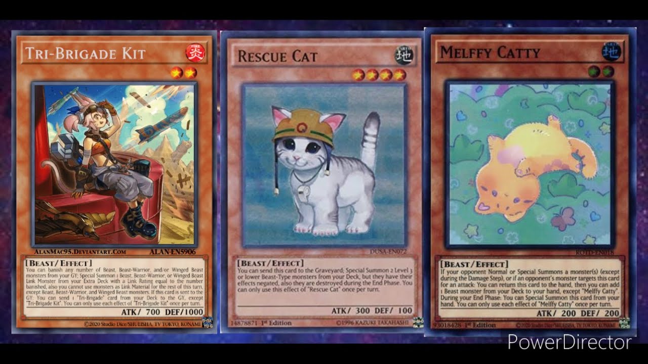 The Best 1 Card Rescue Cat Melffy Combo - YouTube
