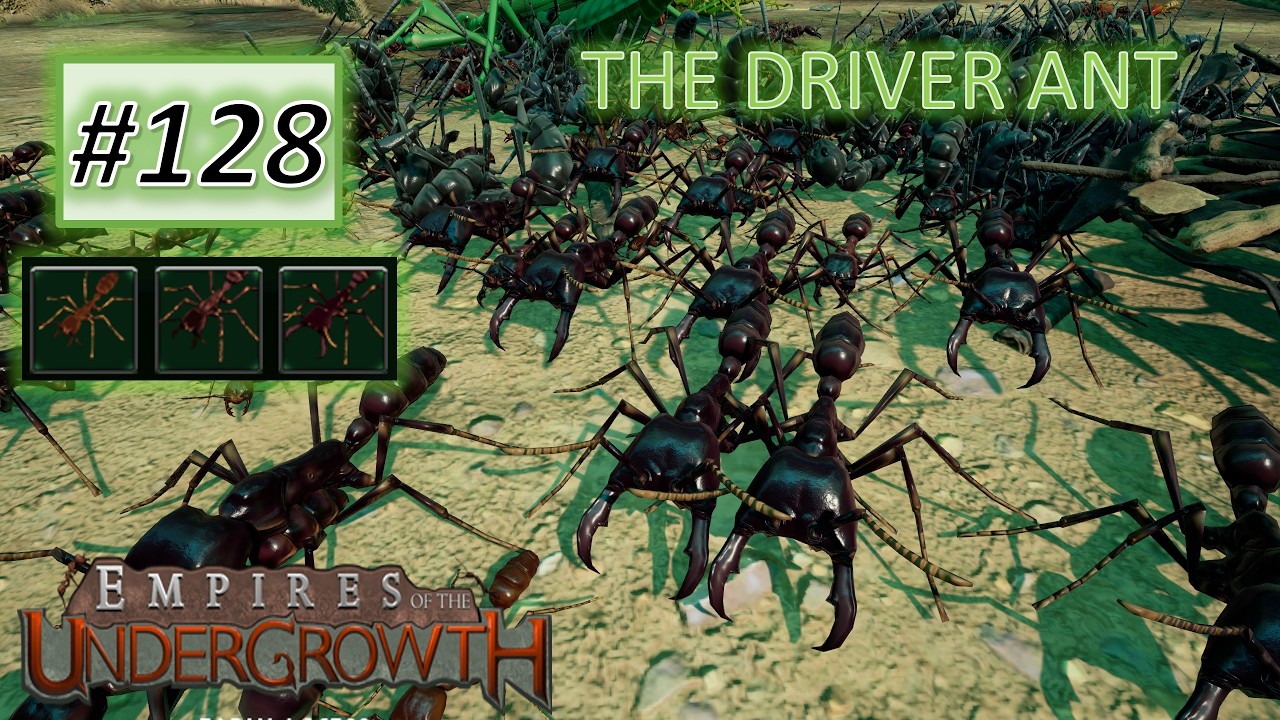 Empires of the Undergrowth #128: Driver Ant Has Arrived - YouTube