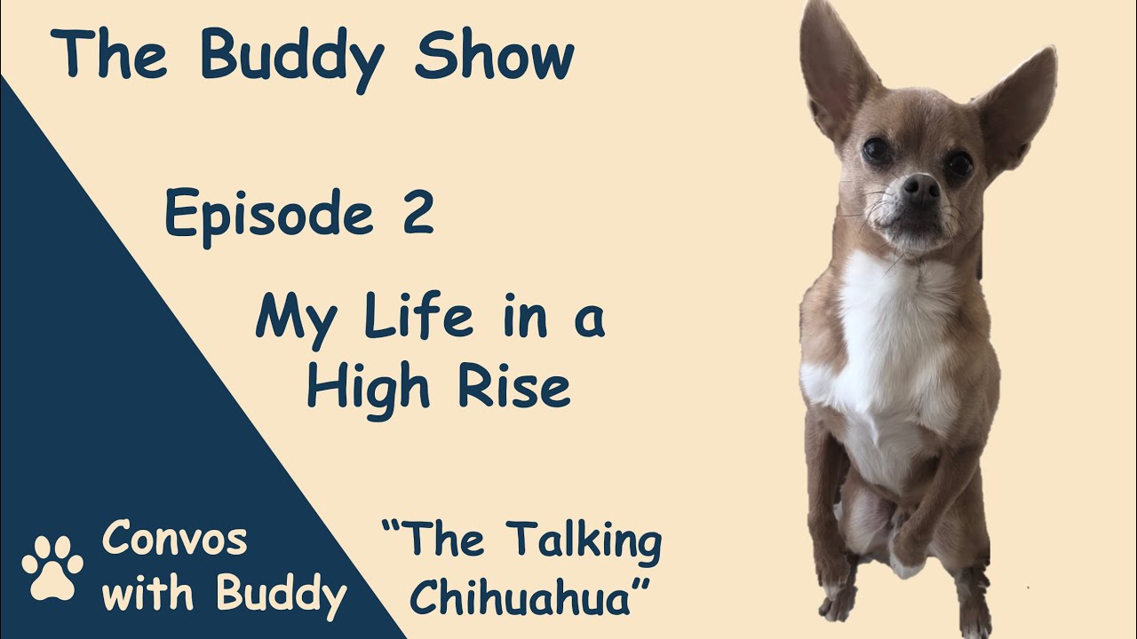 The Buddy Show - Episode 2 My Life in a High Rise - YouTube