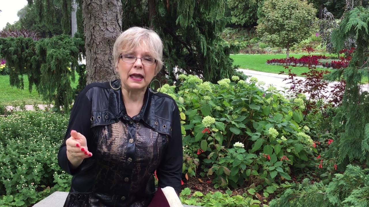 Transformation Video # 42.3 "No Fear" by Susan Waters from www ...