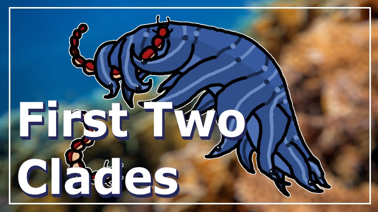 Alien Evolution Ep. 1: First Two Clades - YouTube