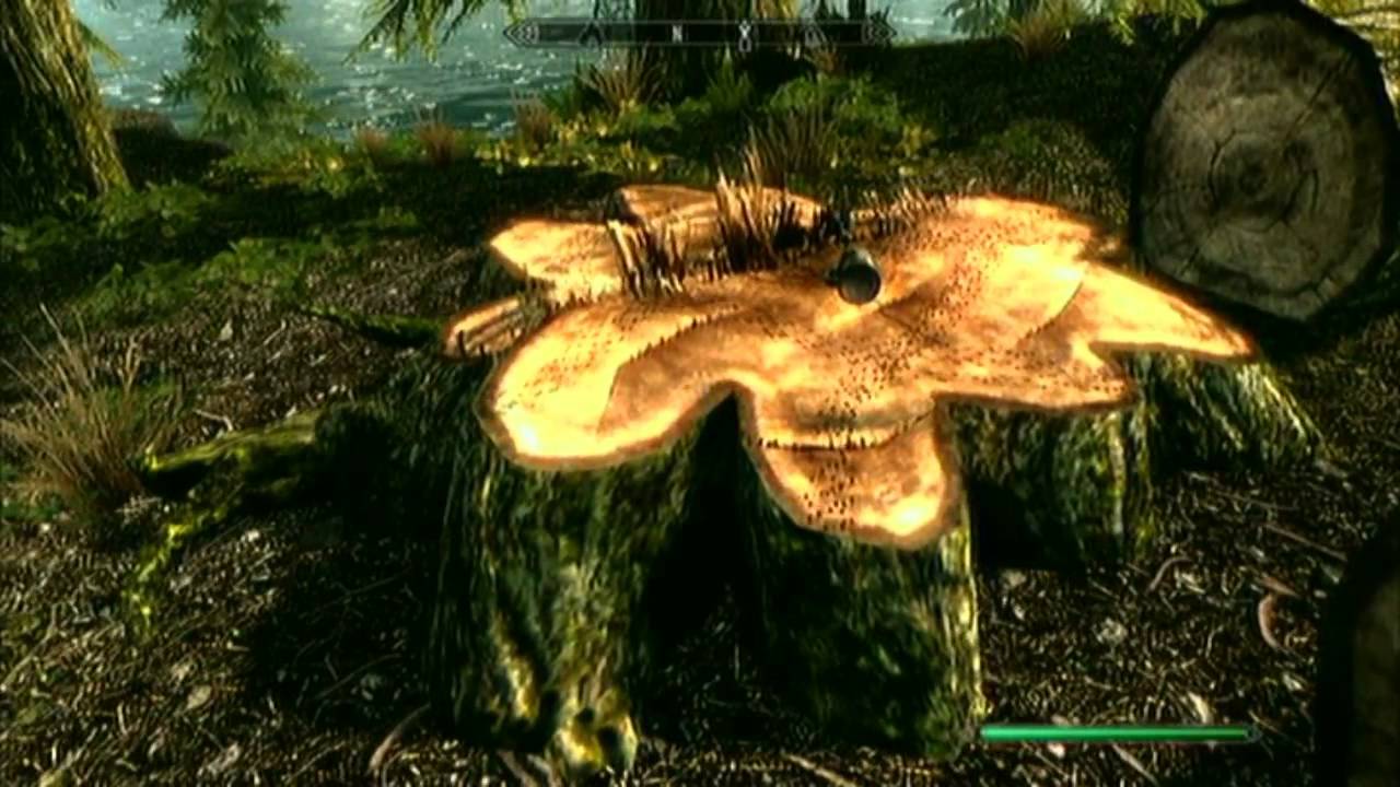 ANTS iN SKYRiM ★ ilivill ★ - YouTube