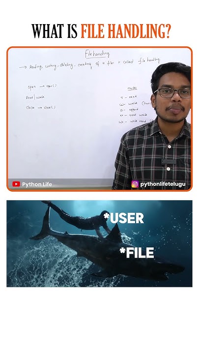 What is File Handling | Python Telugu - YouTube