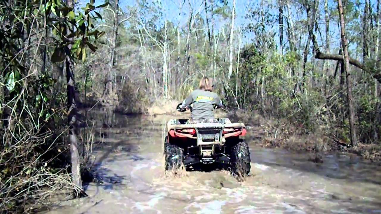 Creekside Edge ATV Swamp Ride - YouTube