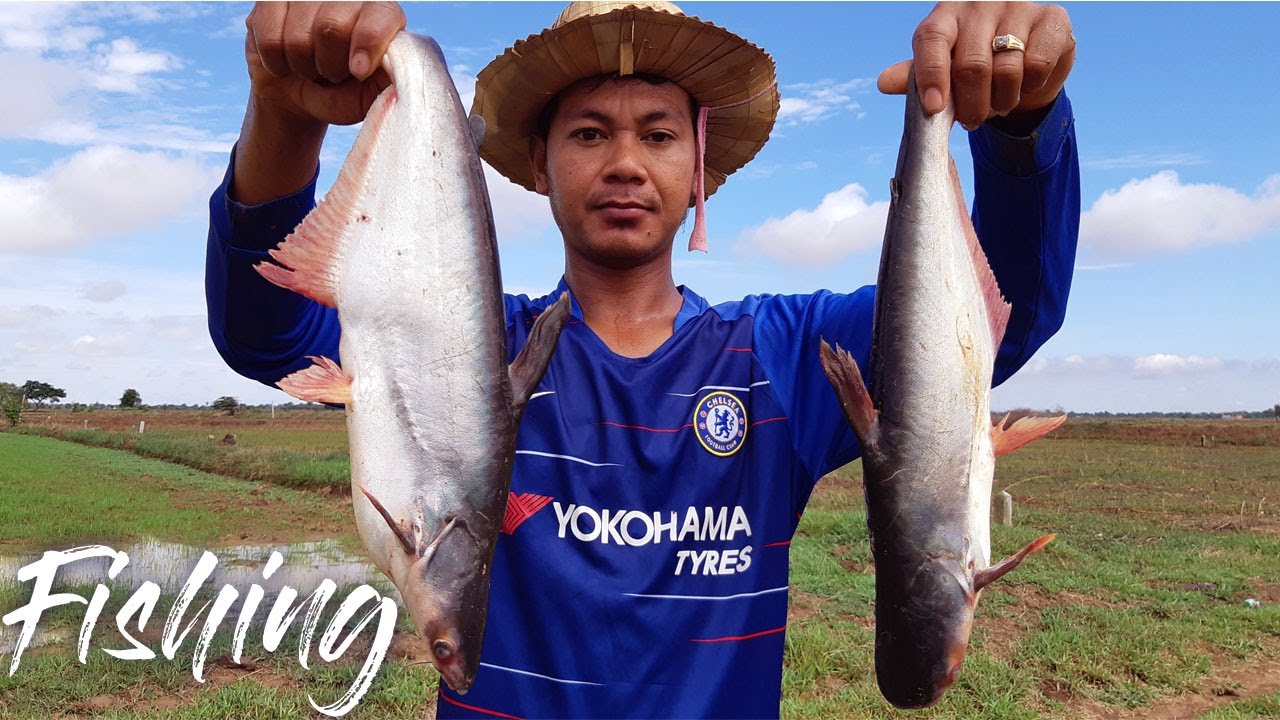 Amazing National Fishing | Best Hand Fishing - YouTube