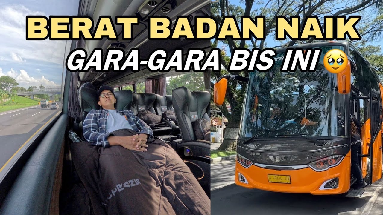 PENUMPANG DILARANG LAPAR! PRESIDENT CLASS 27 TRANS SINGLE GLASS BUS ...