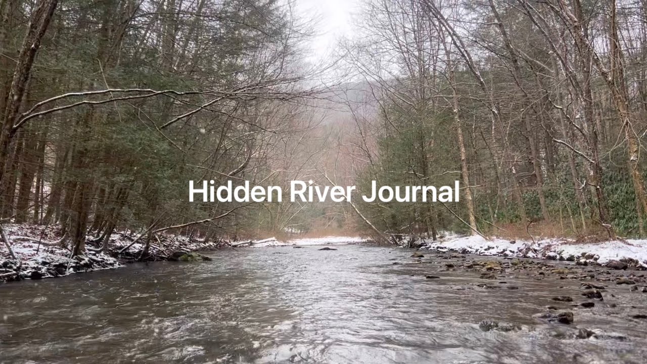 Winter Nymphing For Trout On A Pennsylvania Freestone Stream. 1/19/2025 ...