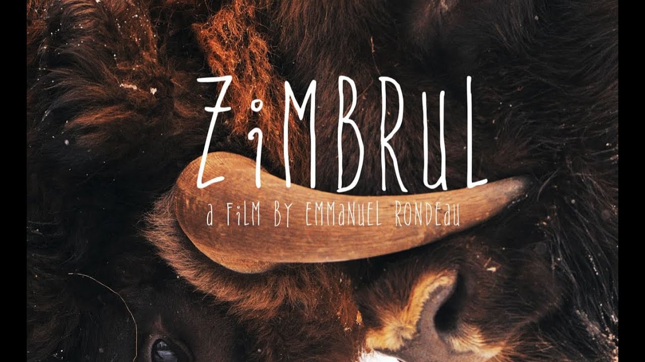ZIMBRUL - Trailer - Return of the European bison in Romania - a film by ...