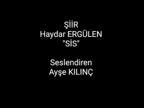 Haydar Ergülen Sis Şiiri/Ayşe Kılınç #şiir