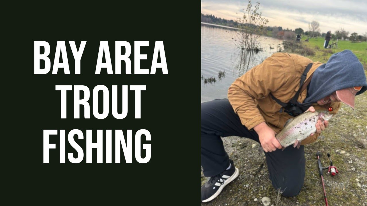 Bay area trout fishing! - YouTube