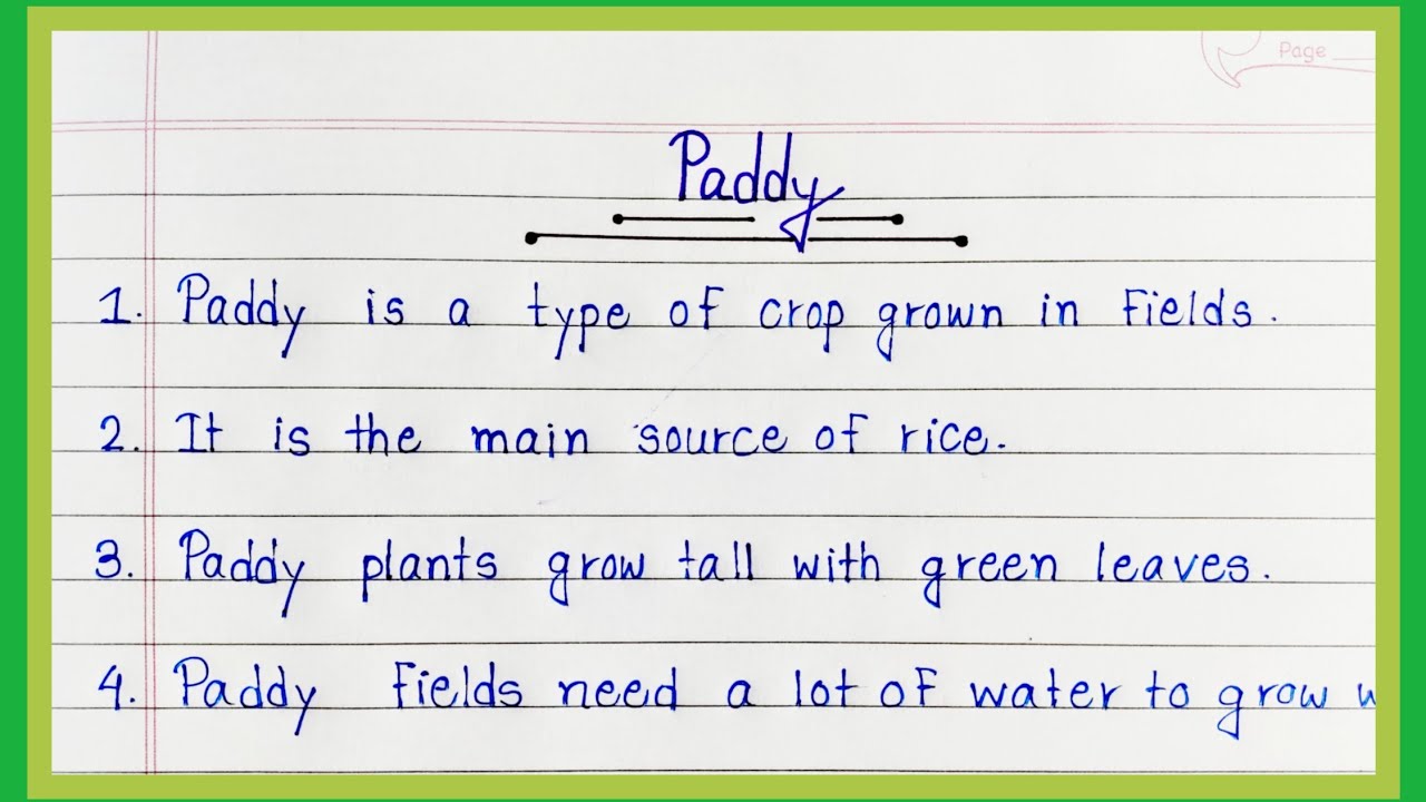 10 Lines Essay On Paddy In English | Short Essay | Easy Sentences About ...