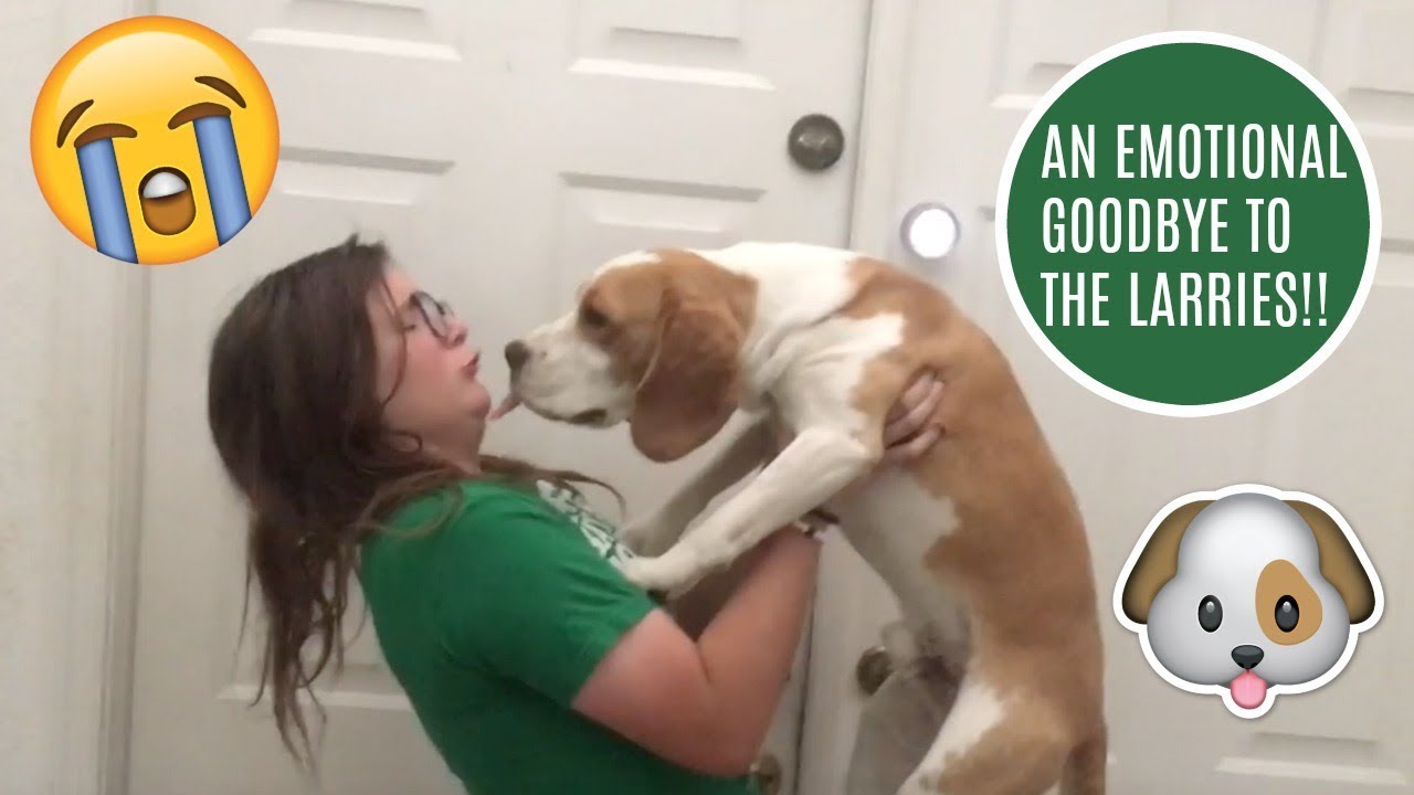 AN EMOTIONAL GOODBYE TO THE LARRIES| LIPPY & LARRY - YouTube