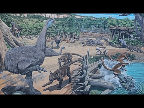 Me info dumping on Madagascar’s extinct animals - YouTube